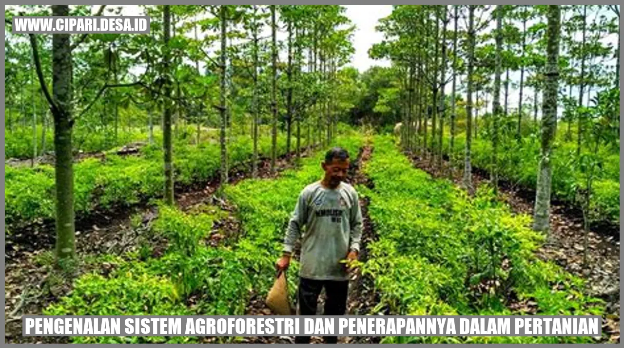 Pengenalan Sistem Agroforestri dan Penerapannya dalam Pertanian - Cipari