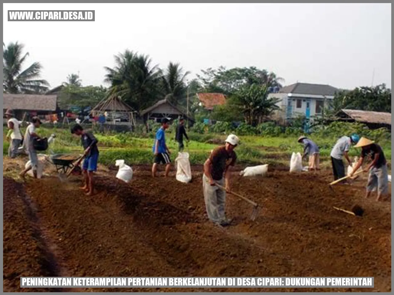 Keterampilan Pertanian Cipari: Dukungan Pemerintah - Cipari Keterampilan Pertanian Cipari: Dukungan Pemerintah - Cipari